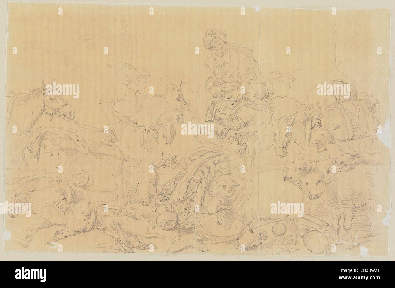 20 animals hi-res stock photography and images - Alamy