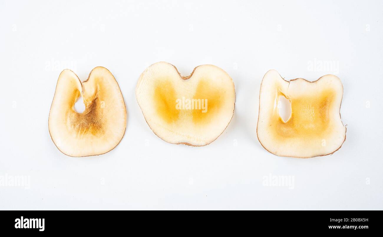 Seafood dried snails on white background Stock Photo - Alamy