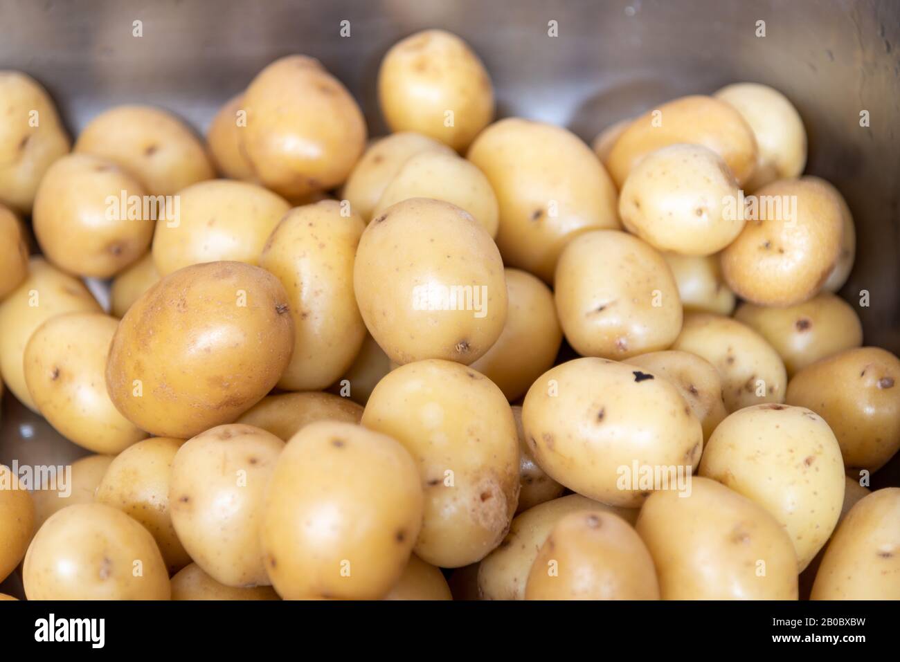 A batch of steamed English potatoes to be used in Brazilian cuisine for ...