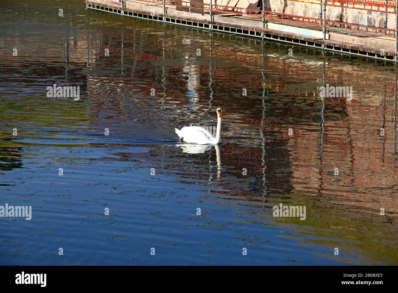 Old swan fort hi-res stock photography and images - Alamy