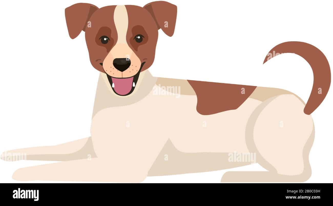 Spotted pup Stock Vector Images - Alamy