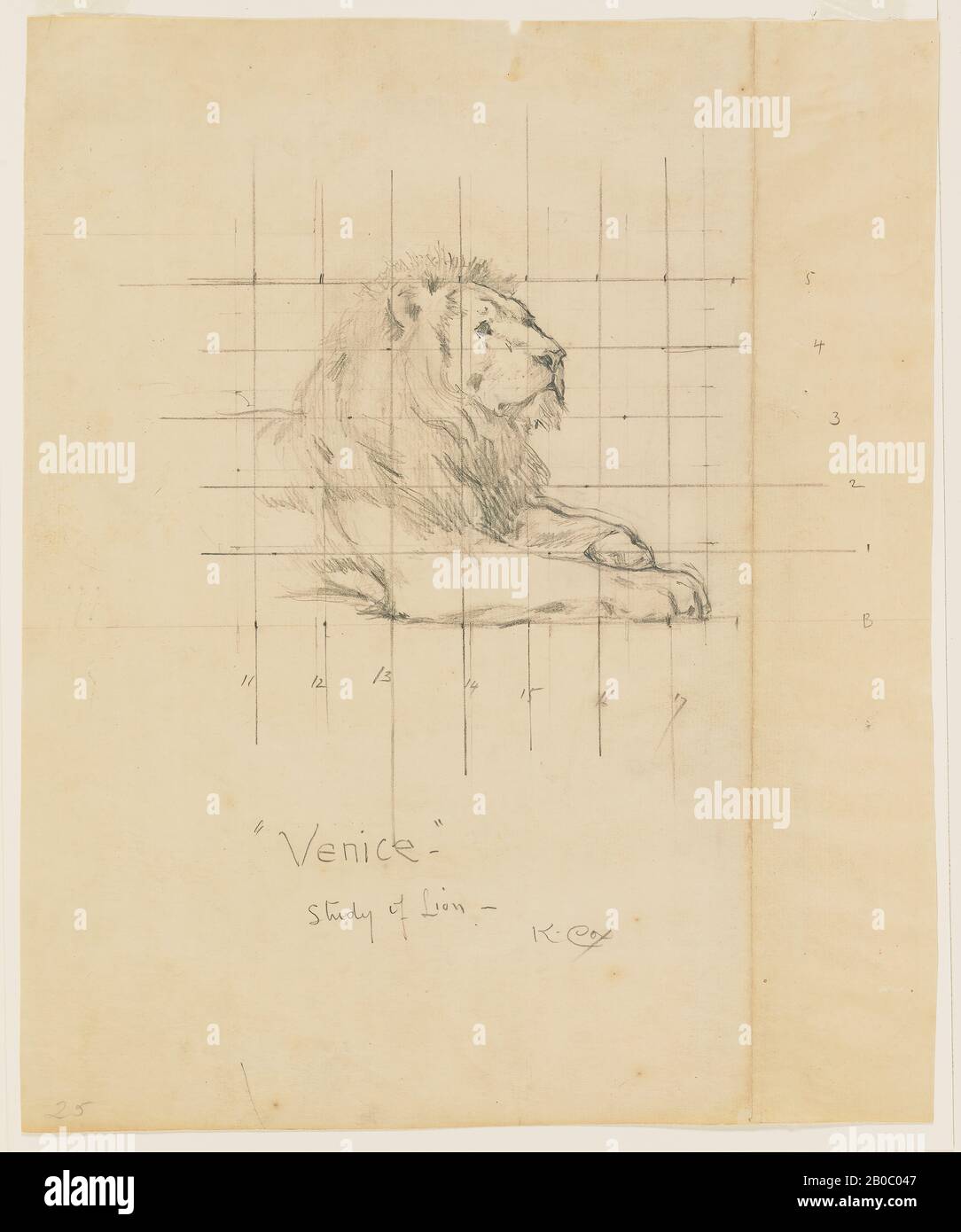 Kenyon Cox, Study for 'Lion', 1856-1919, graphite on paper Stock Photo ...