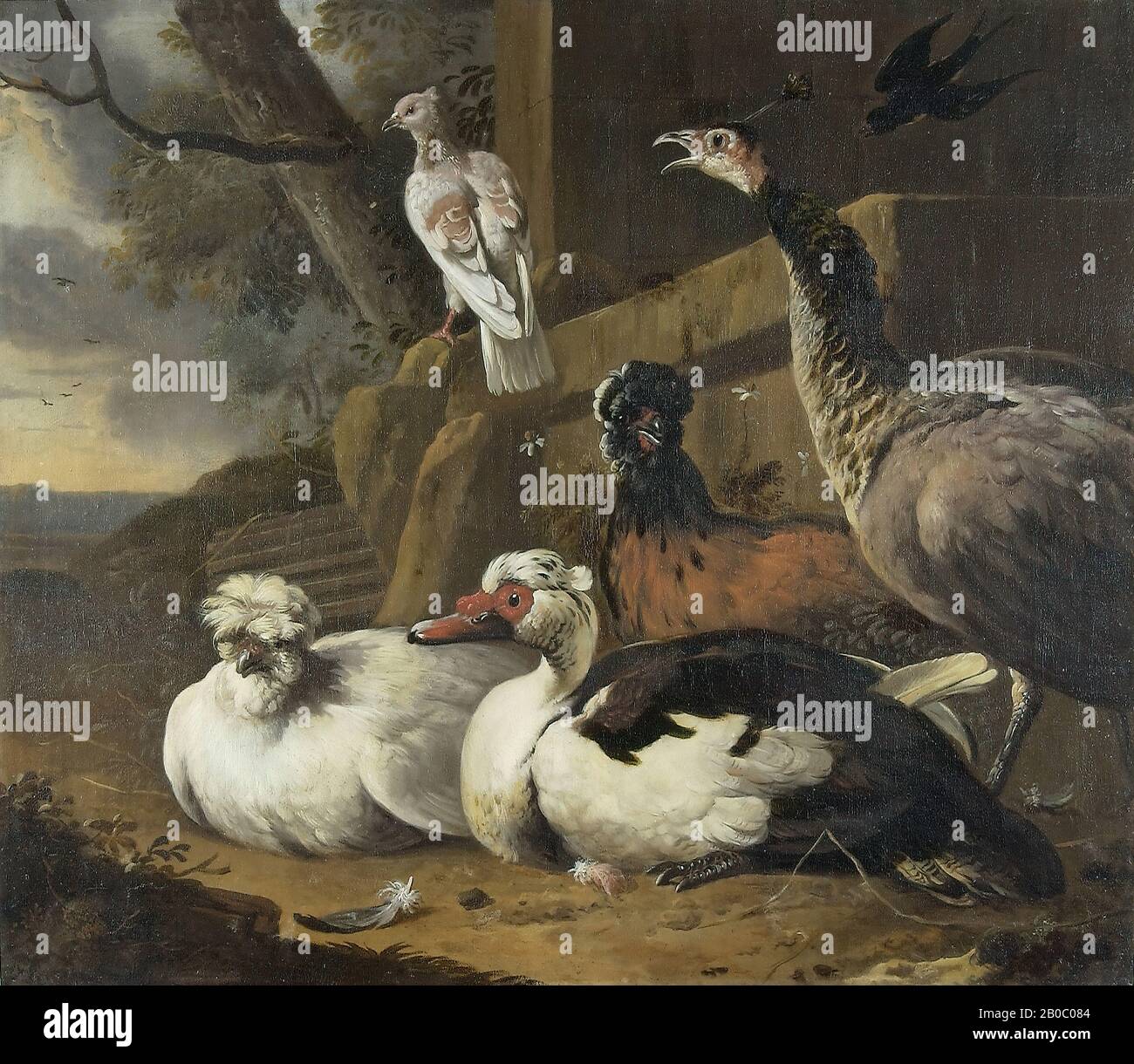 Melchior d' Hondecoeter, Barnyard Fowl, 1636-1695, oil on panel, 34 in ...