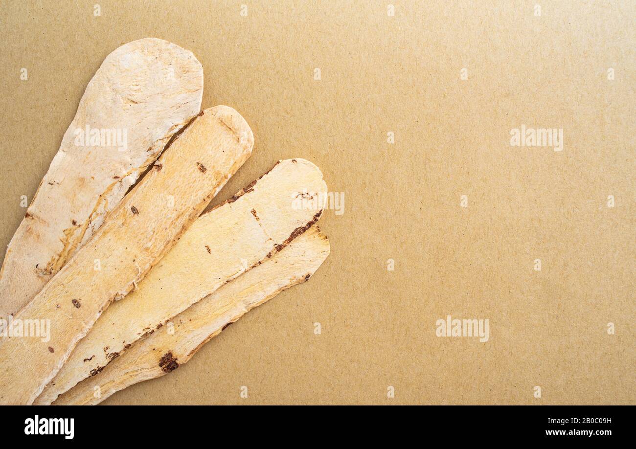 Astragalus membranaceus hi-res stock photography and images - Alamy