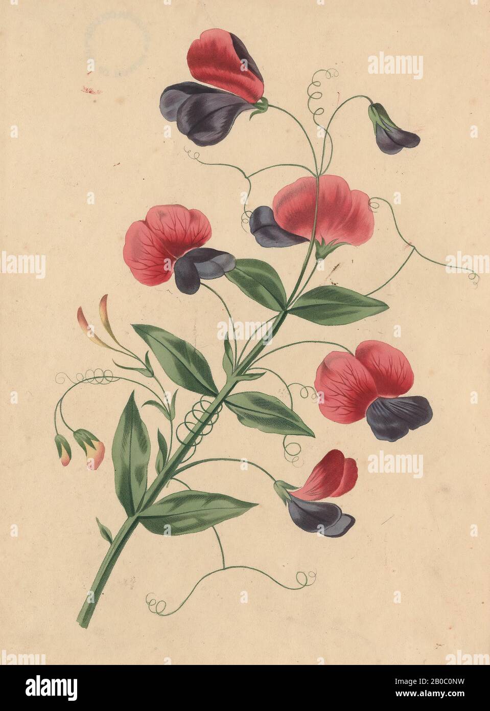 John n booth hi-res stock photography and images - Alamy