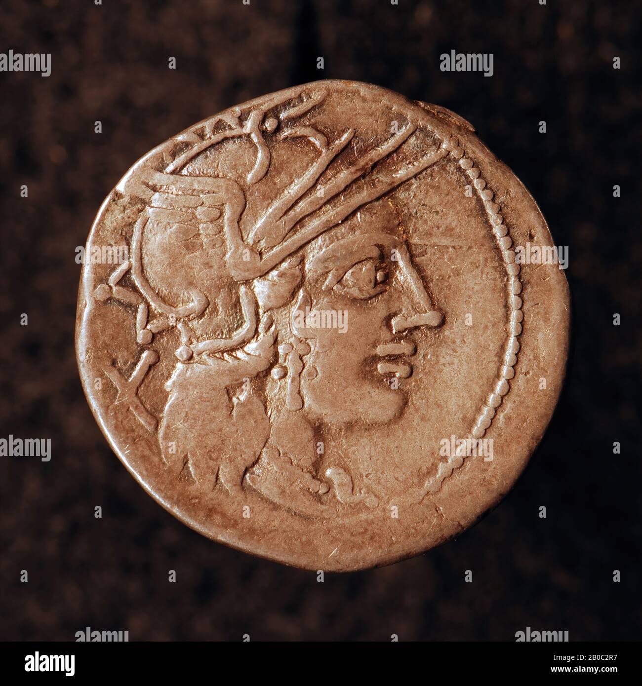 Papirius carbo hi-res stock photography and images - Alamy