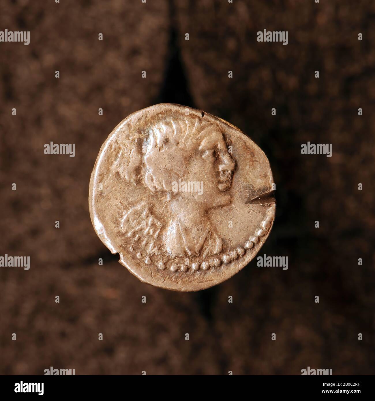 Quintus hi-res stock photography and images - Alamy
