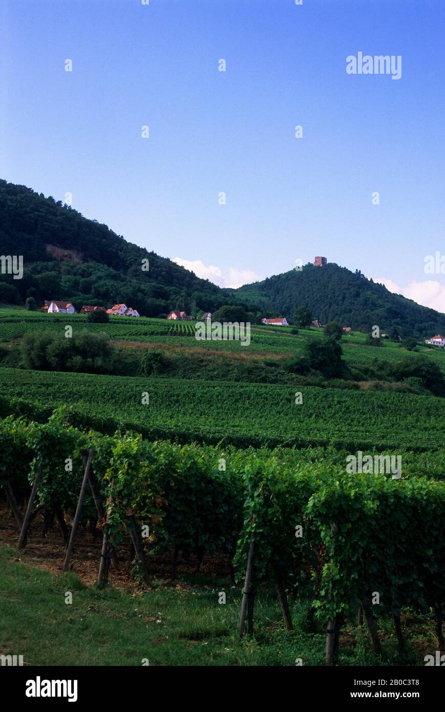 Alsace wine region hi-res stock photography and images - Alamy