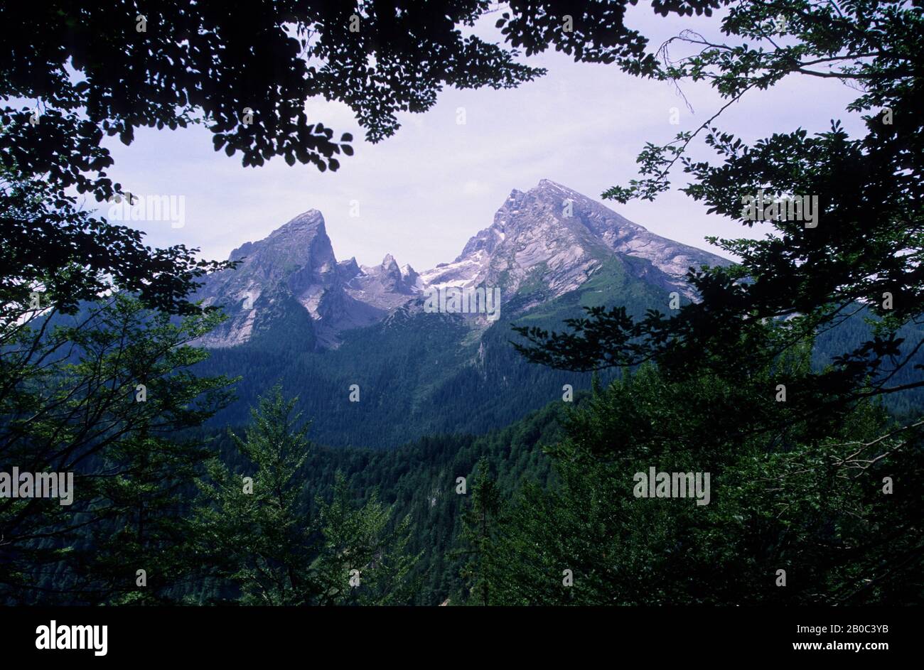 GERMANY, BAVARIA, BERCHTESGADEN, GRUNSTEIN MOUNTAIN HIKE, WATZMANN ...