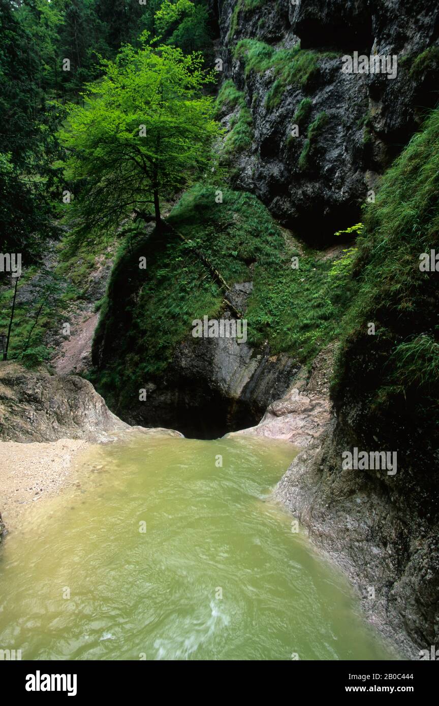 GERMANY, BAVARIA, BERCHTESGADEN, ALMBACHKLAMM (CANYON), CREEK Stock ...