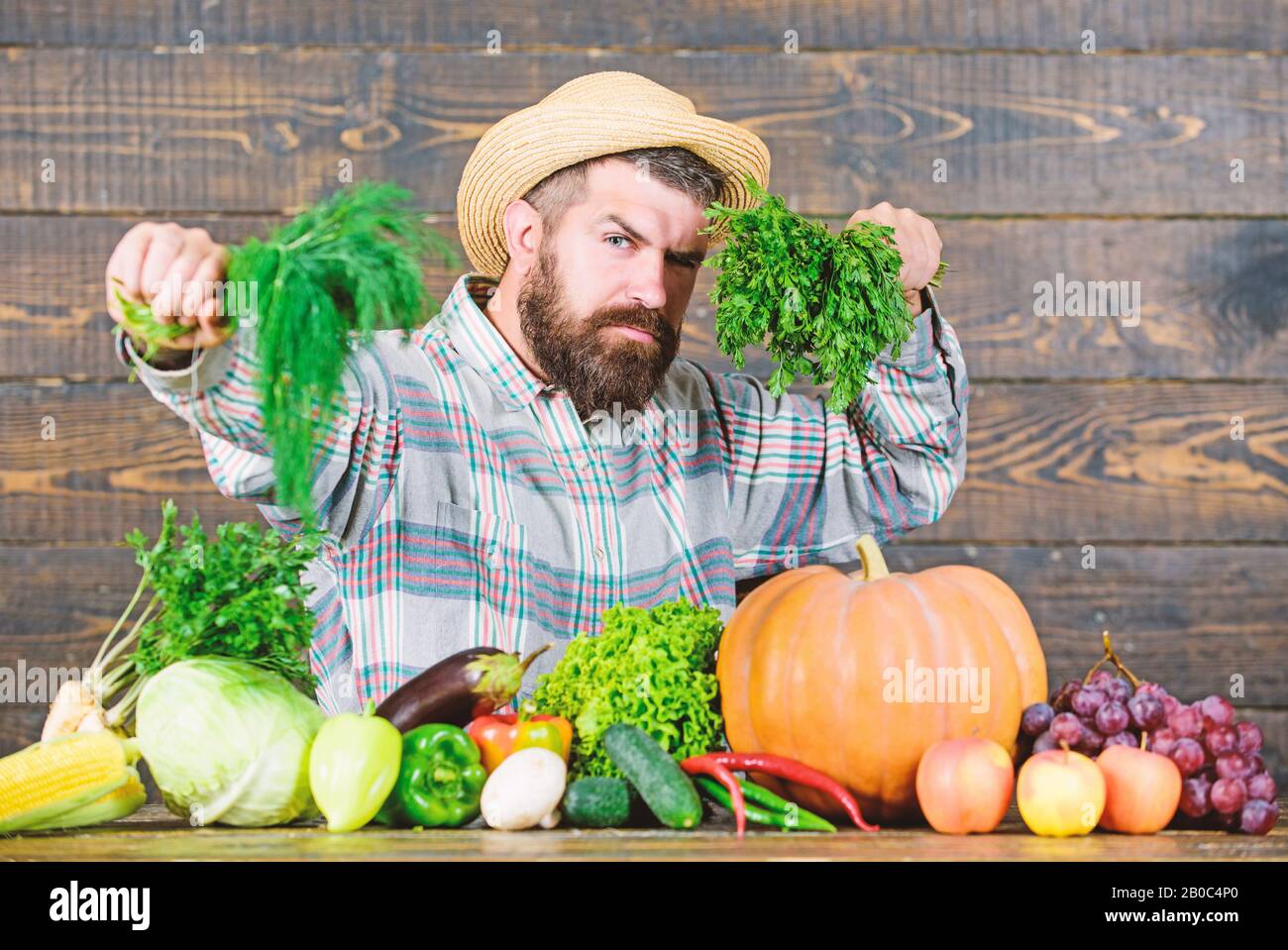 man chef with rich autumn crop. organic and natural food. happy ...