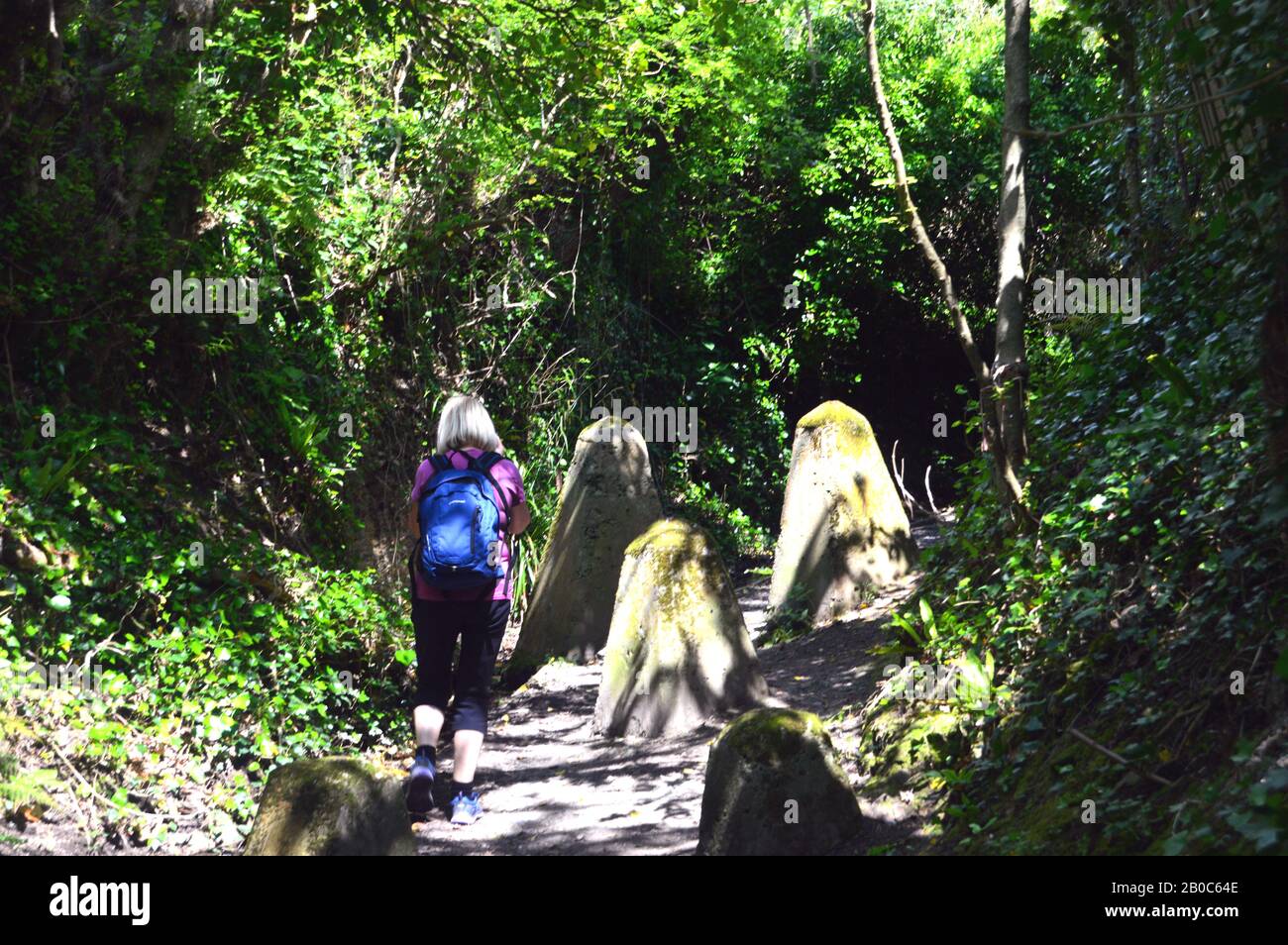 Woman Walking by WW2 Anti-tank obstacles (Dragon's Teeth/Tank Traps ...