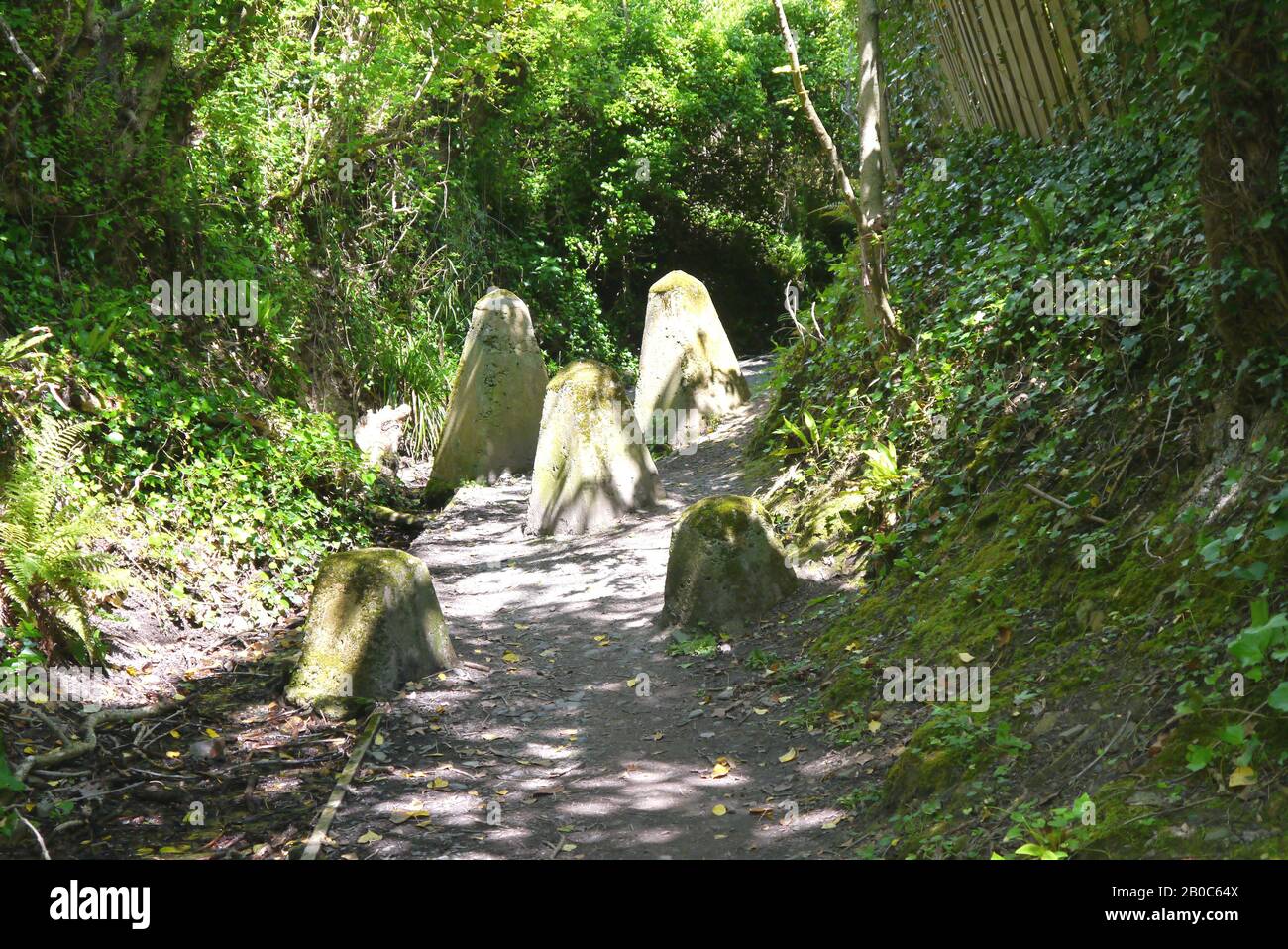 WW2 Anti-tank obstacles (Dragon's Teeth/Tank Traps) at Burrough Farm ...