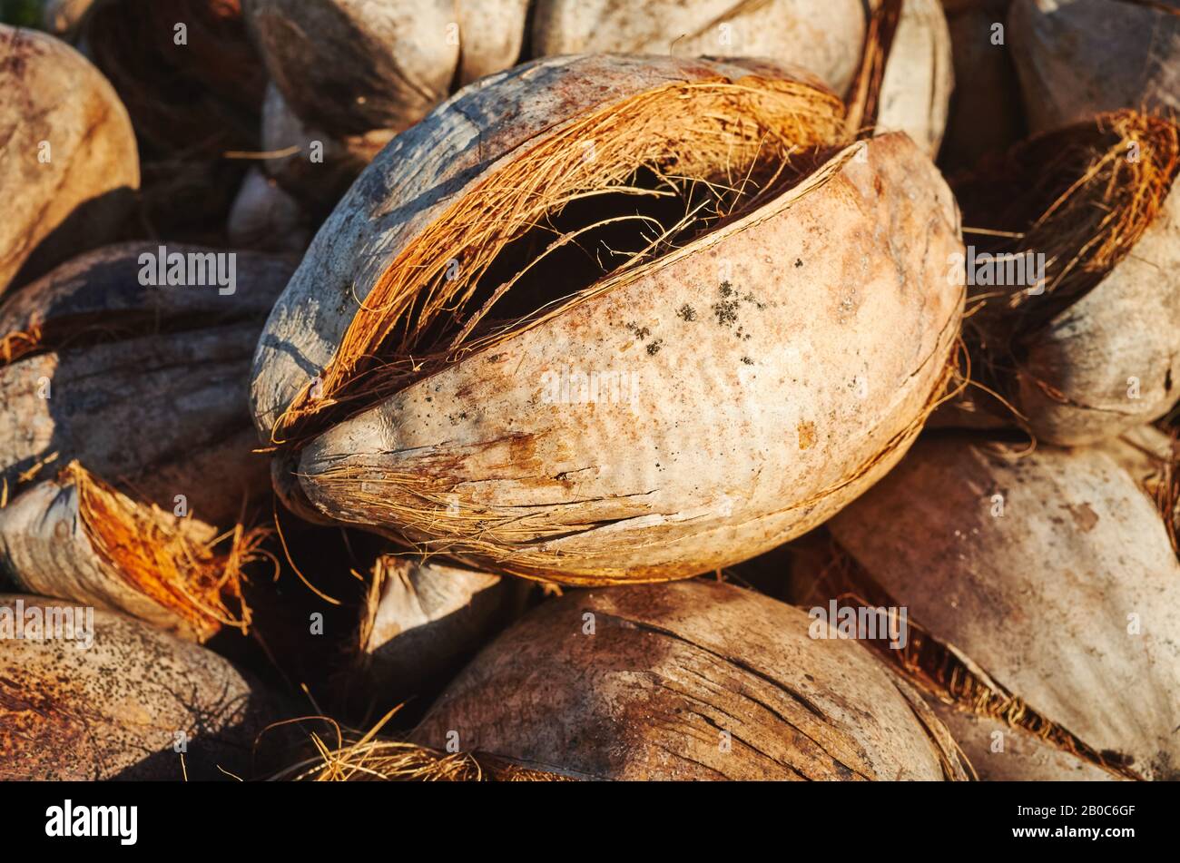 Pile of coconut husks hi-res stock photography and images - Alamy