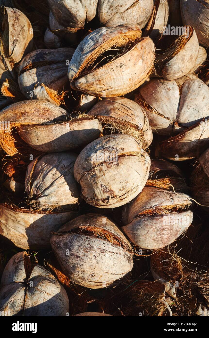 Dried husk hi-res stock photography and images - Alamy