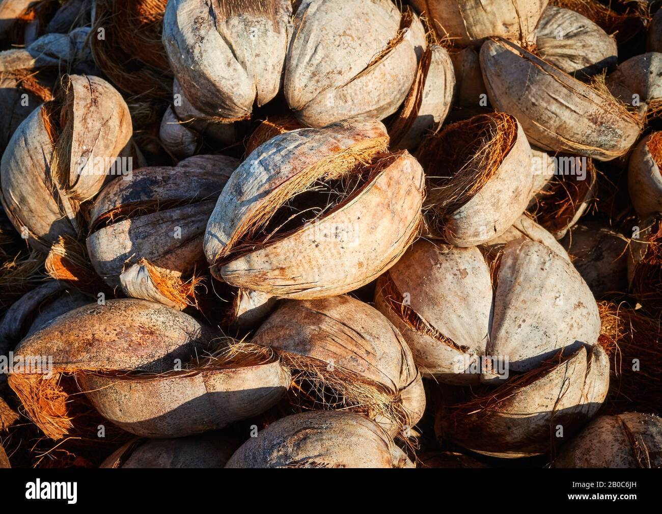 Picture of dried coconut husks, selective focus Stock Photo - Alamy