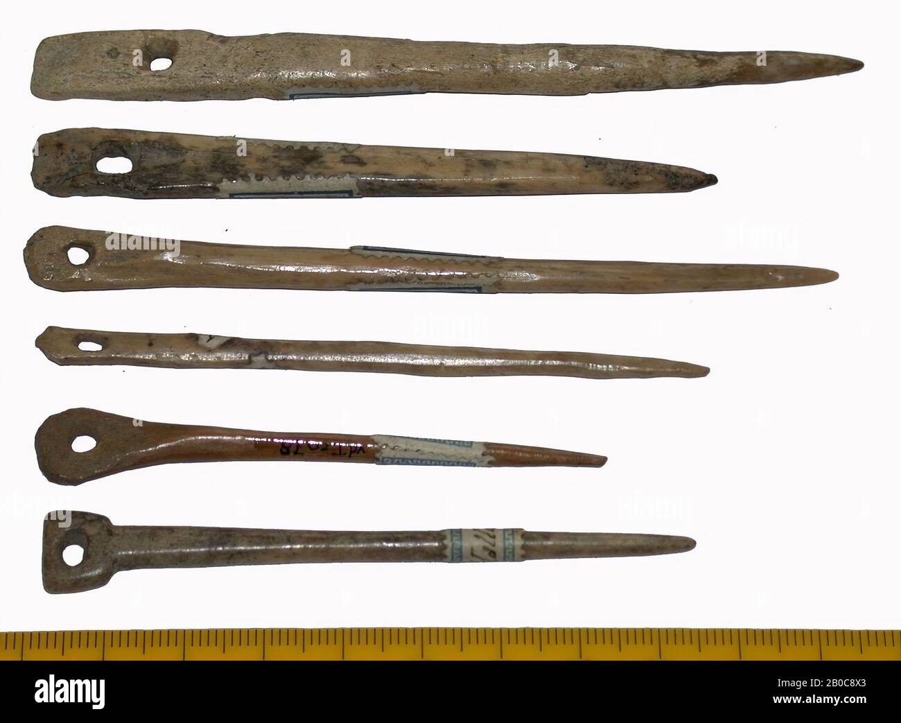 needle with eye, needle, organic, bone, 10,59 x 0,86 x 0,44 cm, vmec ...