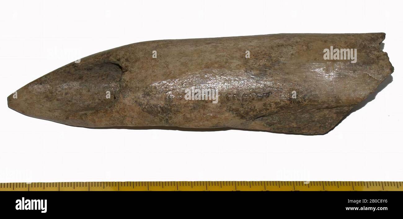 The Netherlands Middle Ages, awl, fat holder, organic, bone, vmec, the ...