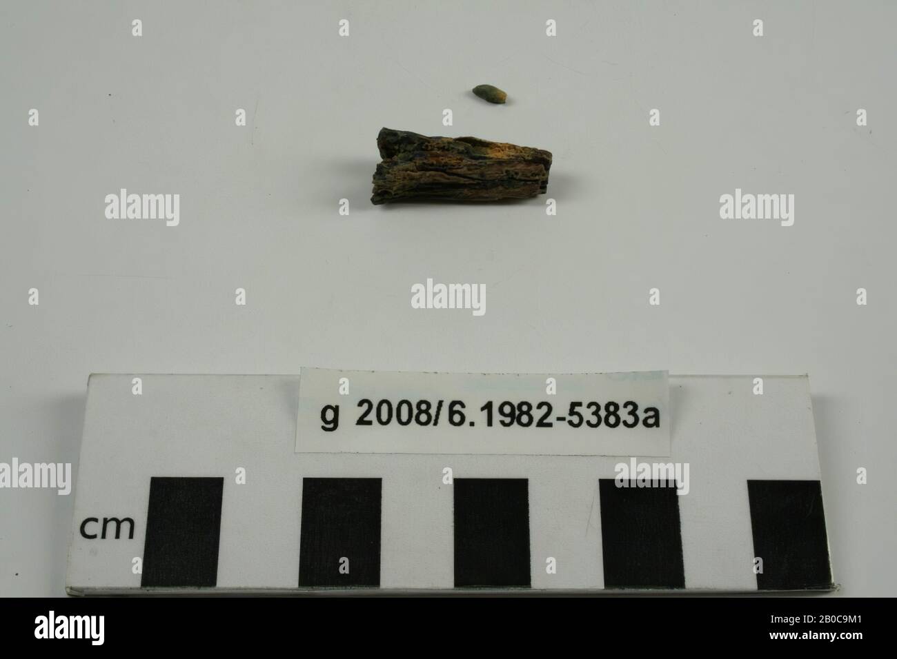 Wood fragment, ash wood (fraxinus), belonging to lance point g 2008 ...