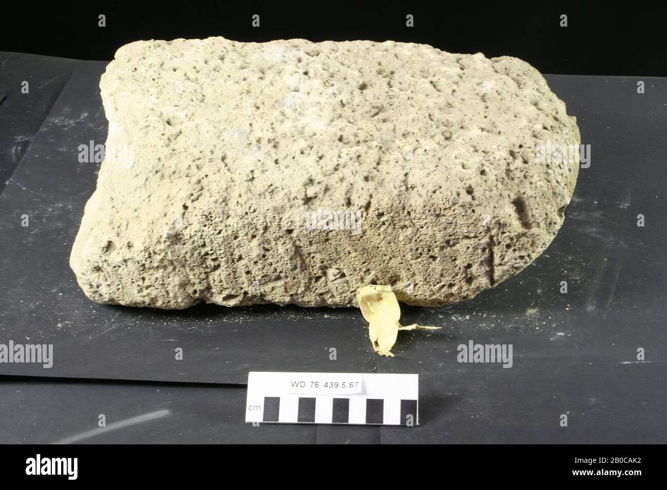 35 x 25 x 11 cm hi-res stock photography and images - Alamy