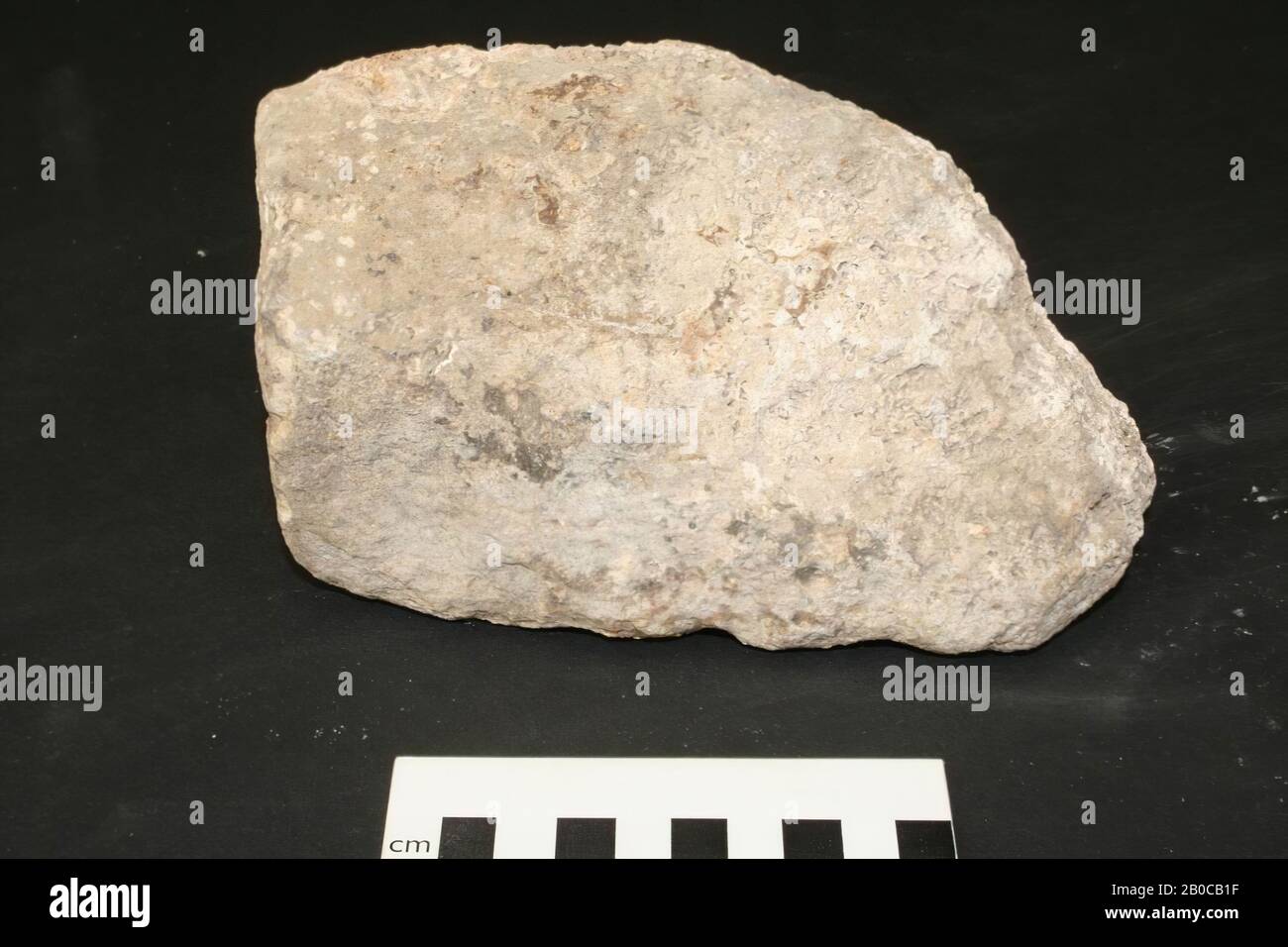Building fragment of limestone, building fragment, stone, limestone, 17 ...
