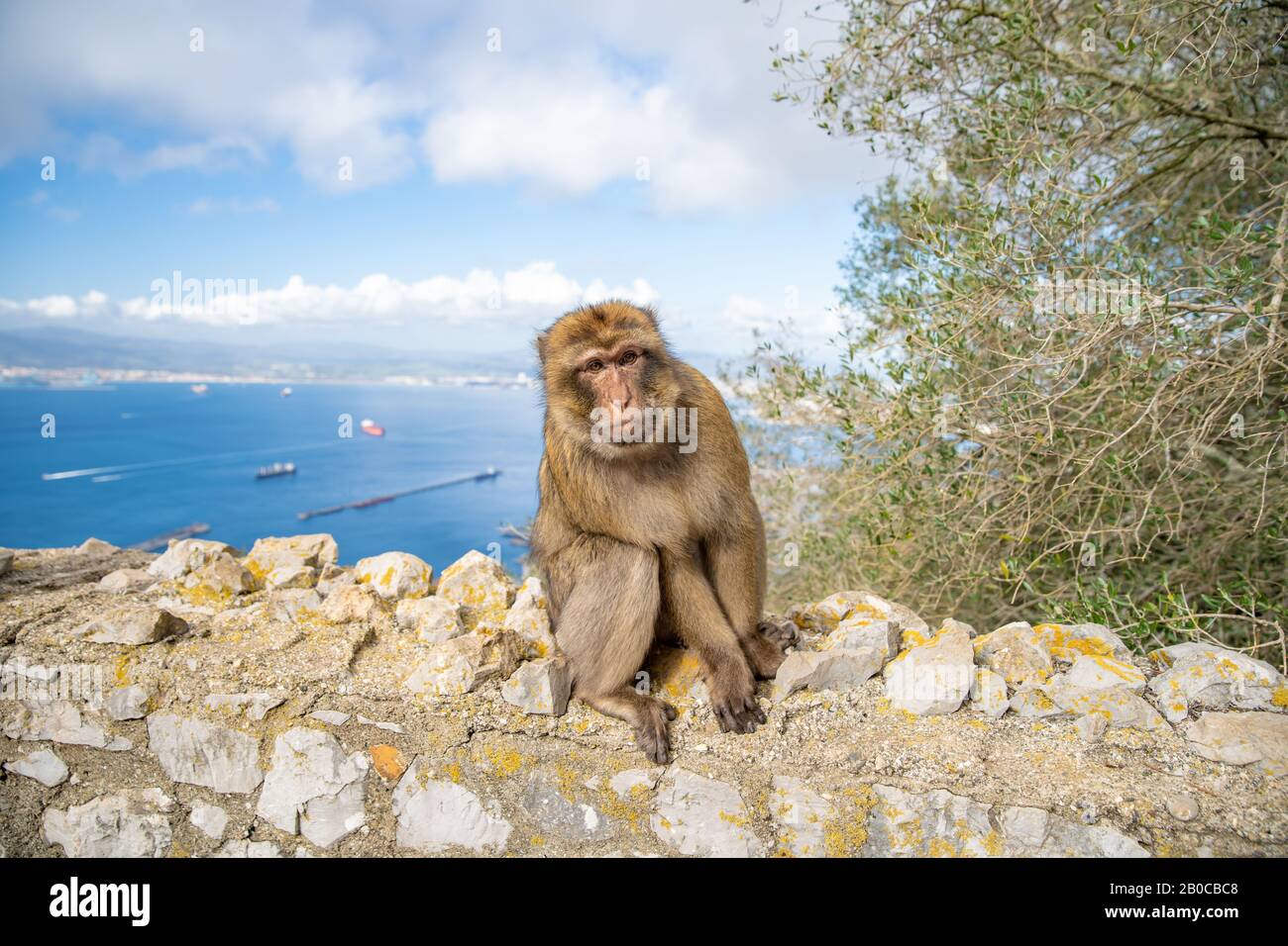 Family on the rock of gibraltar hi-res stock photography and images - Alamy