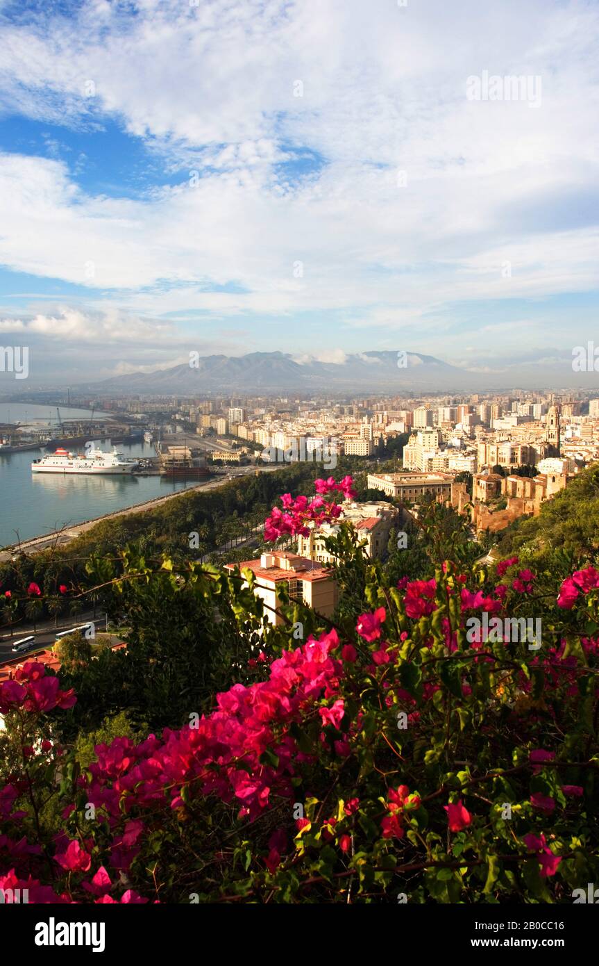 SPAIN, COSTA DEL SOL, MALAGA, OVERVIEW OF CITY WITH PORT, BOUGAINVILLEA ...