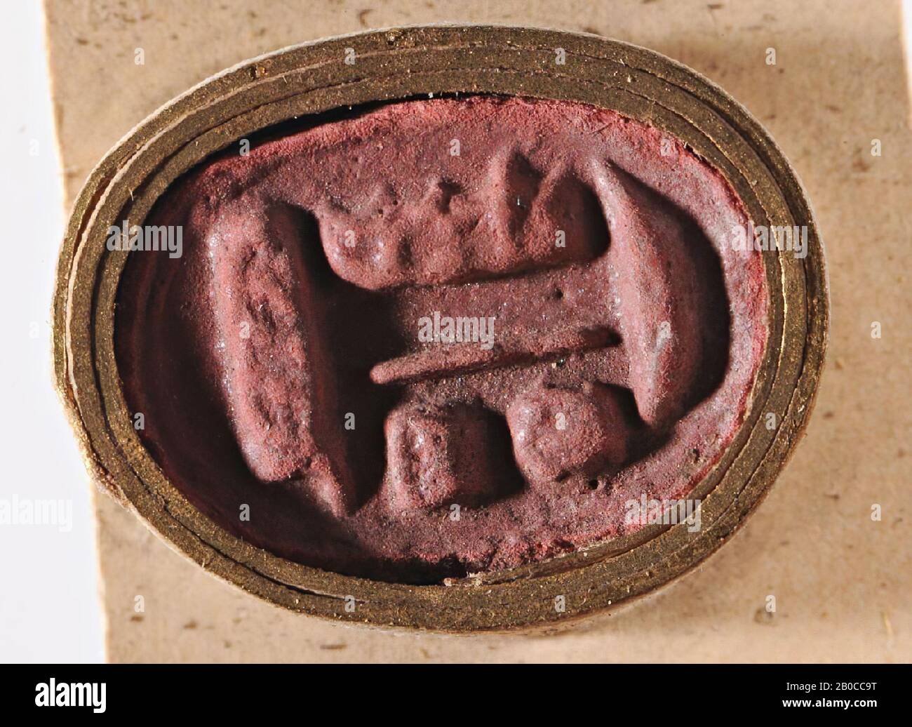 Hind legs point backwards hi-res stock photography and images - Alamy