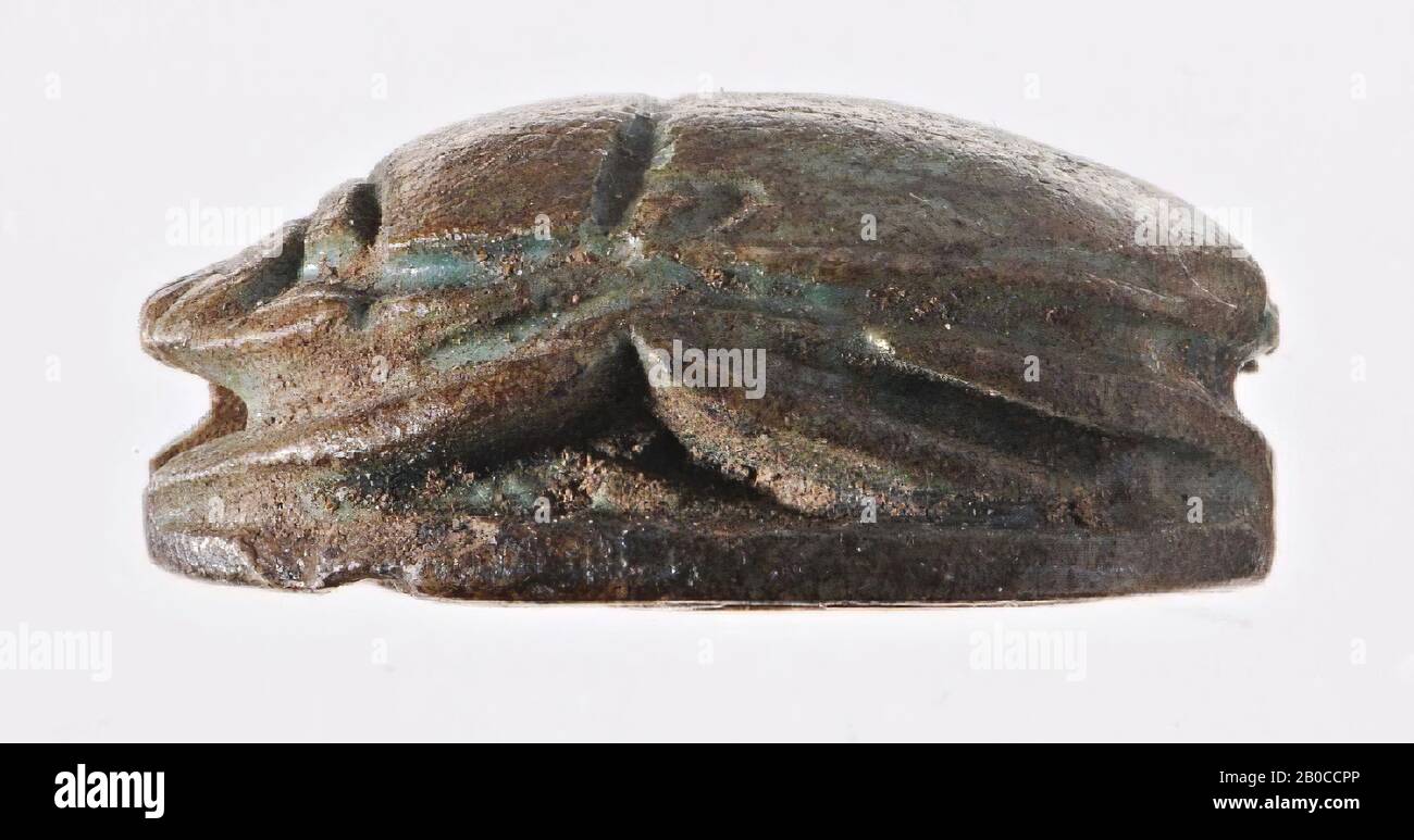 scarab, Amonre, The seal has the form of a natural beetle. The back is ...