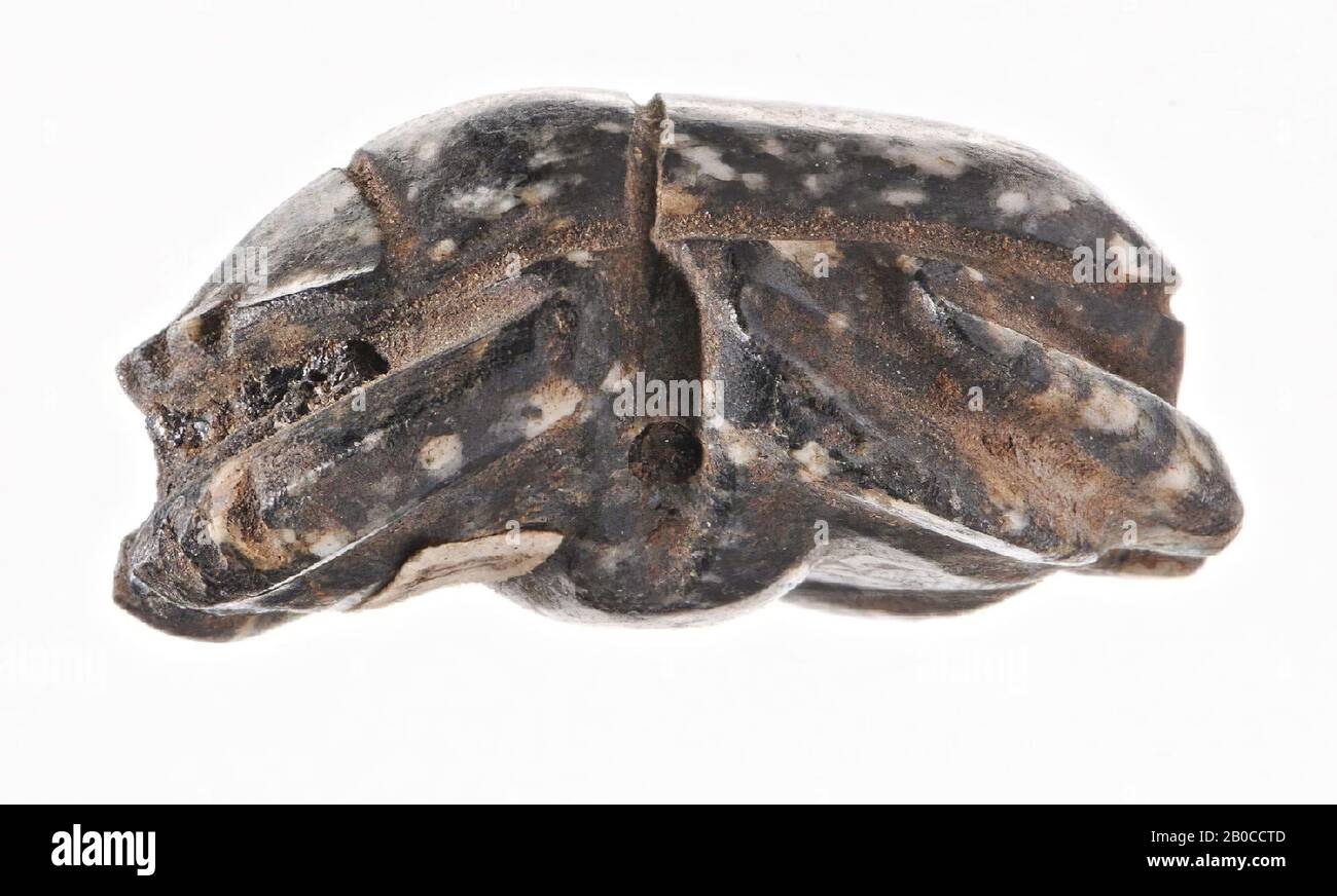 scarab, seal, scarab, stone, granite, 2,6 cm, Egypt Stock Photo - Alamy