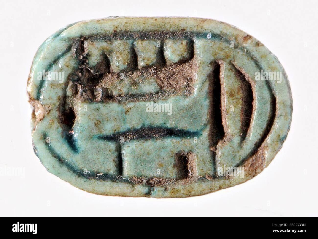 Rear legs stretched backwards hi-res stock photography and images - Alamy