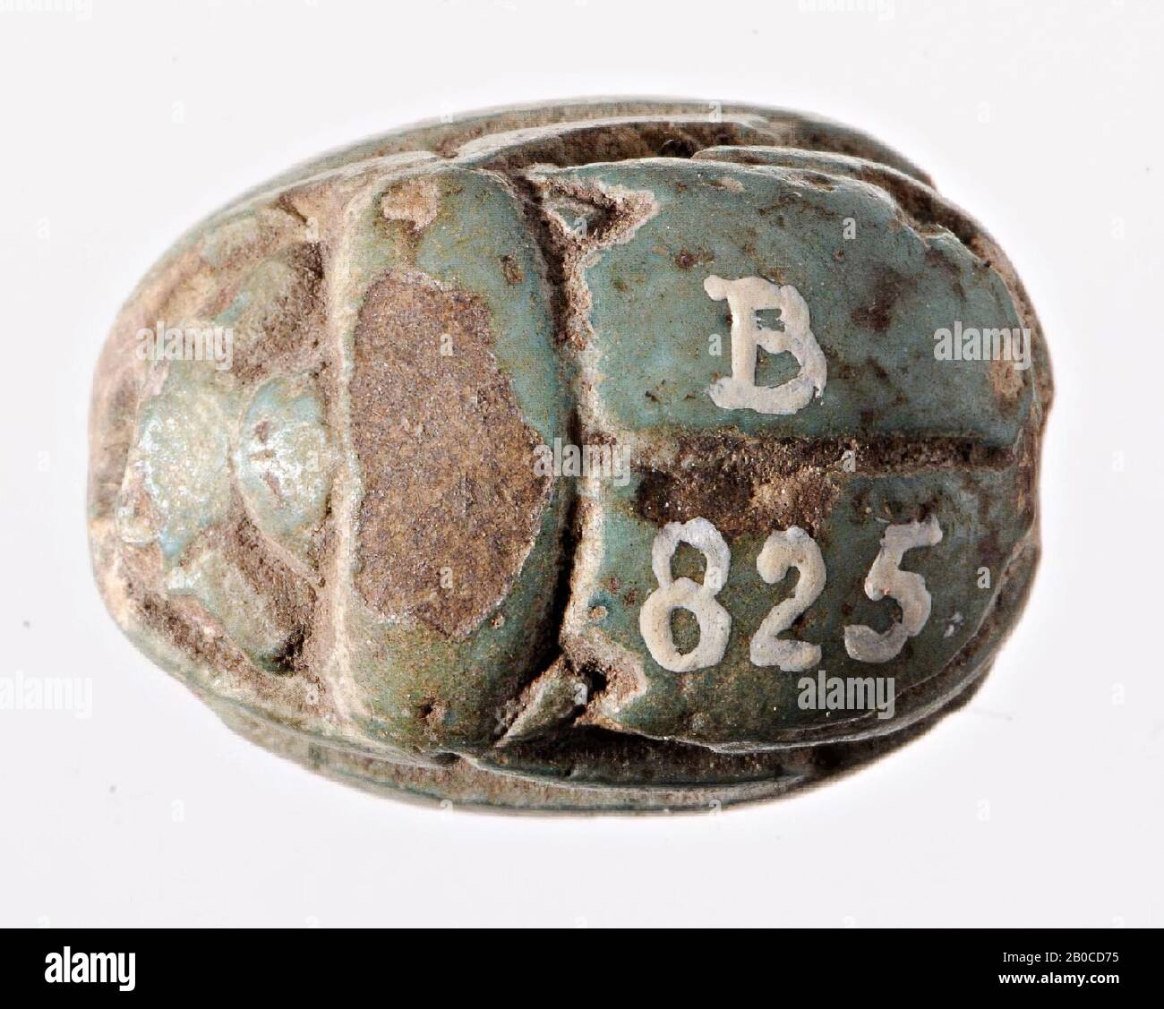 scarab, Amonre, The seal has the form of a natural beetle. Head with ...