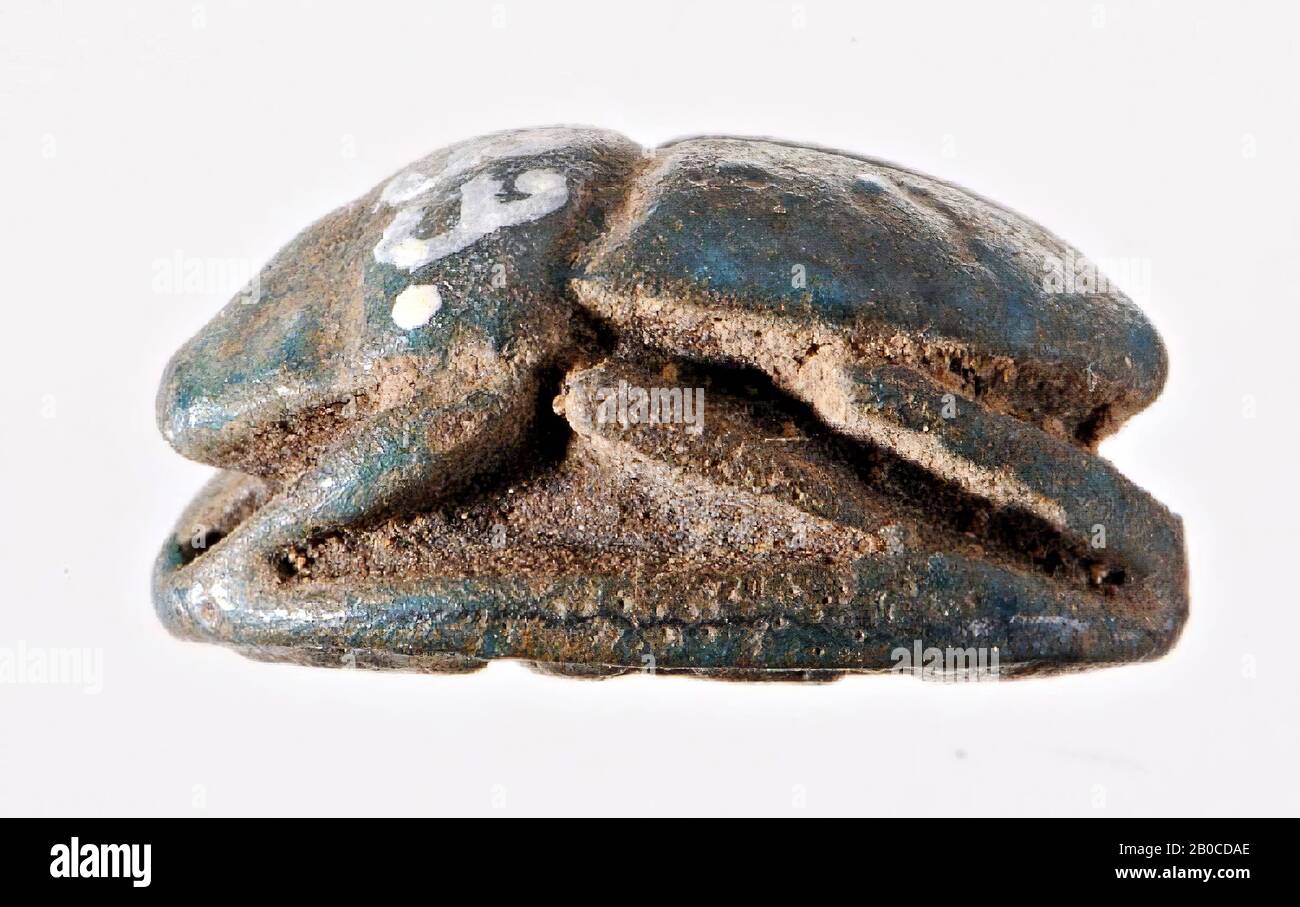 Larger back legs hi-res stock photography and images - Alamy