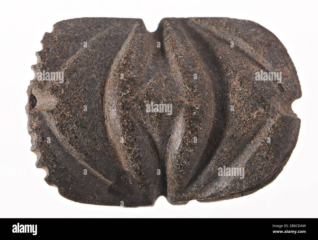 scarab, seal, scarab, stone, serpentine, 2,6 cm, Egypt Stock Photo - Alamy