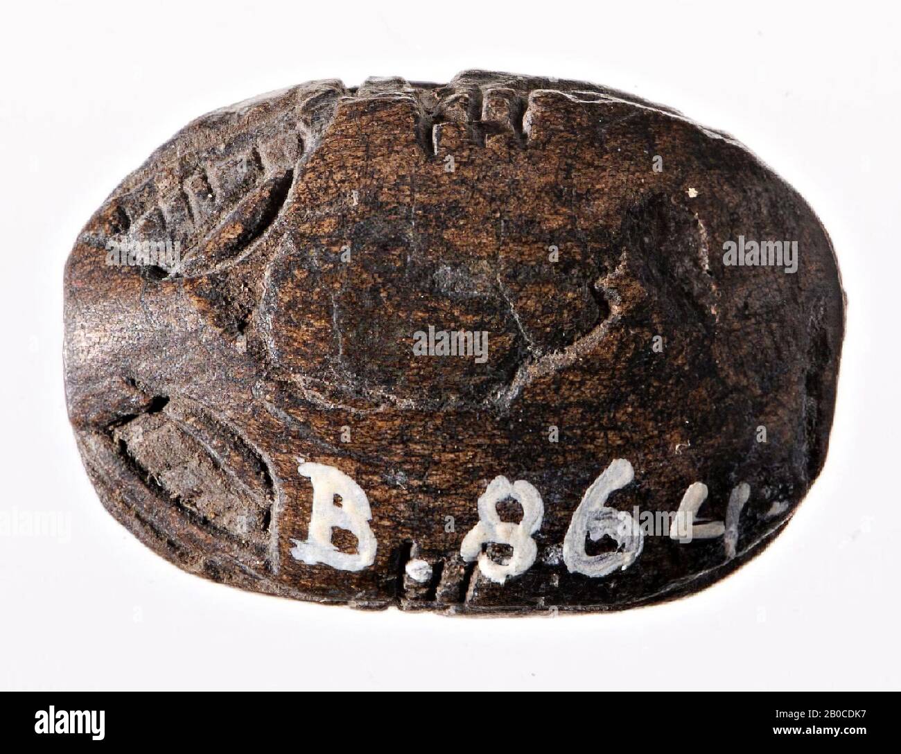 Rear legs backward start hi-res stock photography and images - Alamy