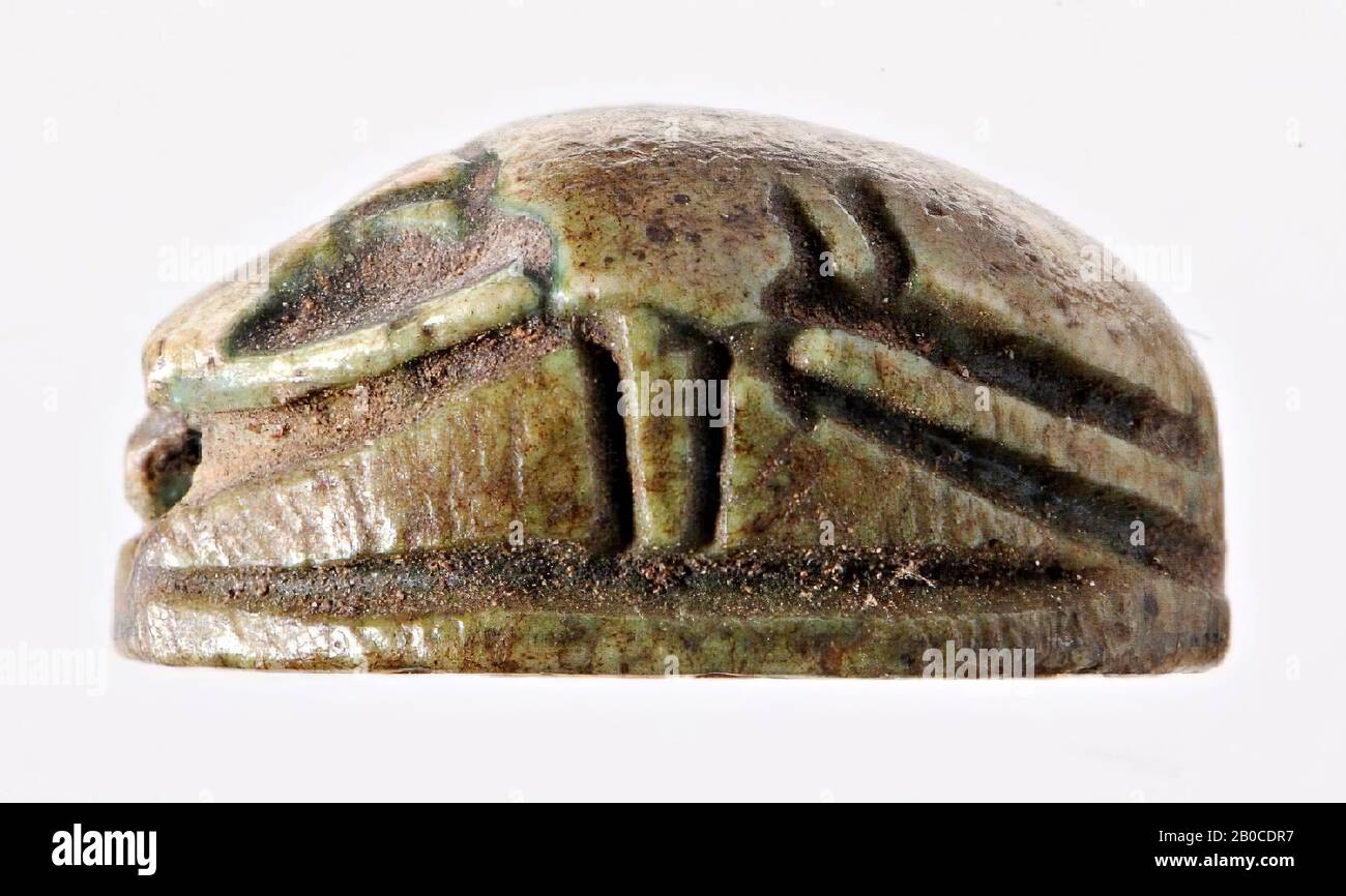 Rear stretched rear legs start under hi-res stock photography and ...