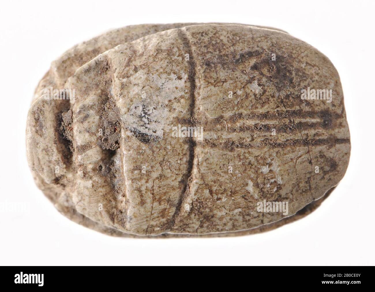 Chest parts hardly detailed hi-res stock photography and images - Alamy