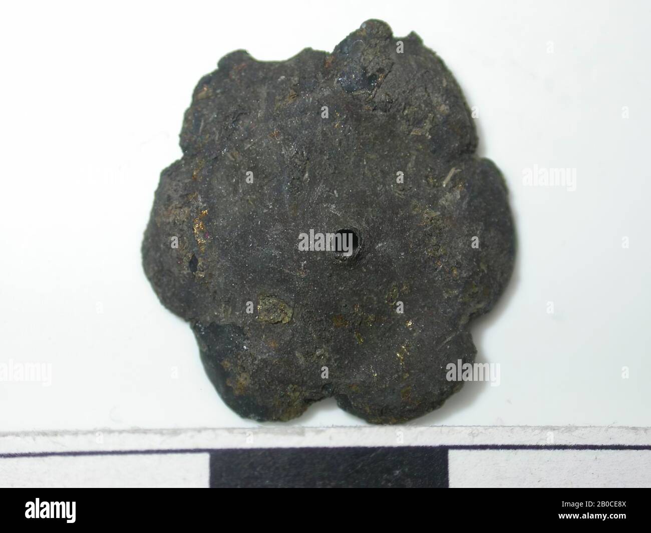 5 lobed hi-res stock photography and images - Alamy