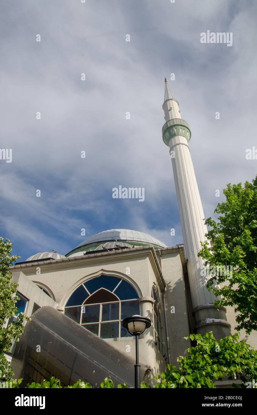 Mosque and Tree Stock Photo - Alamy