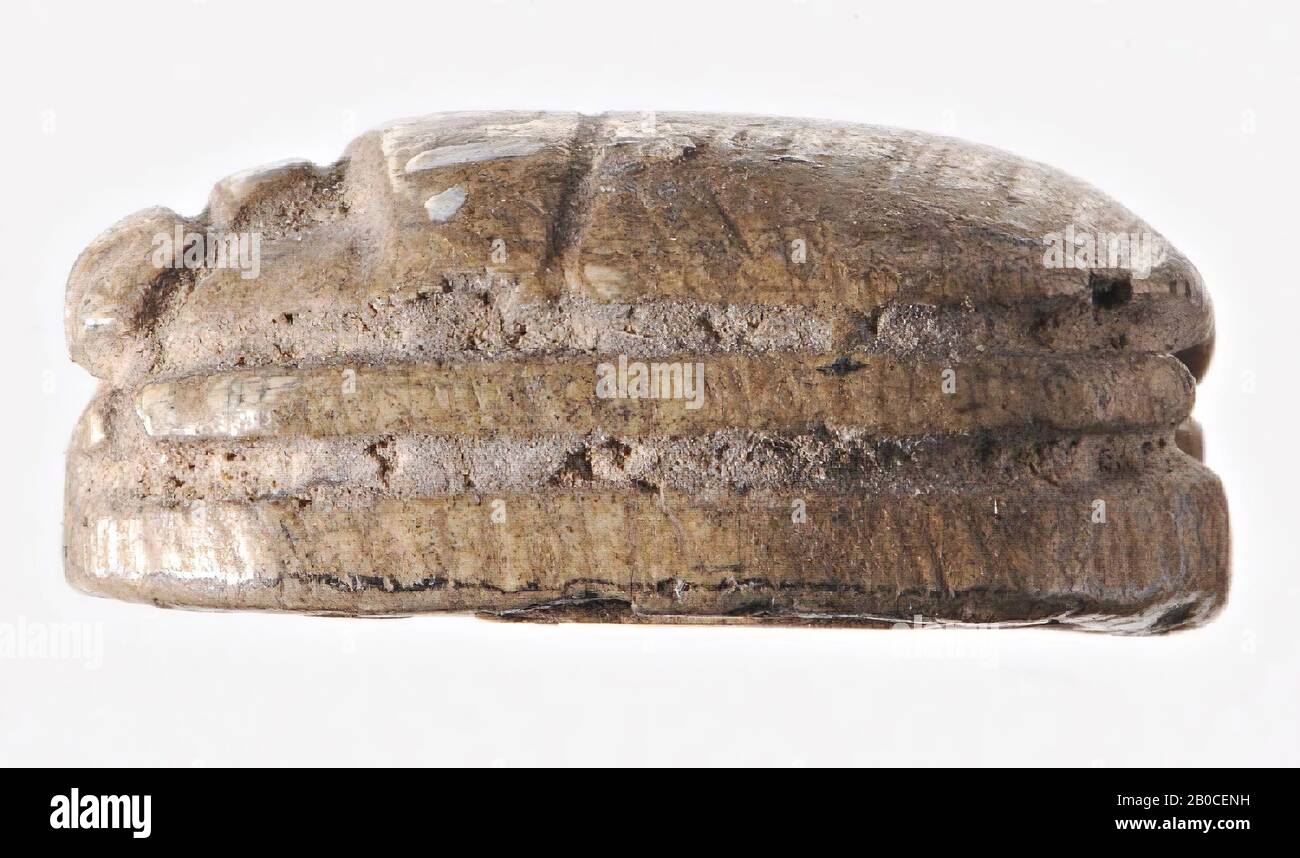 scarab, king, lion, The seal has the shape of a stylized scarab. The ...
