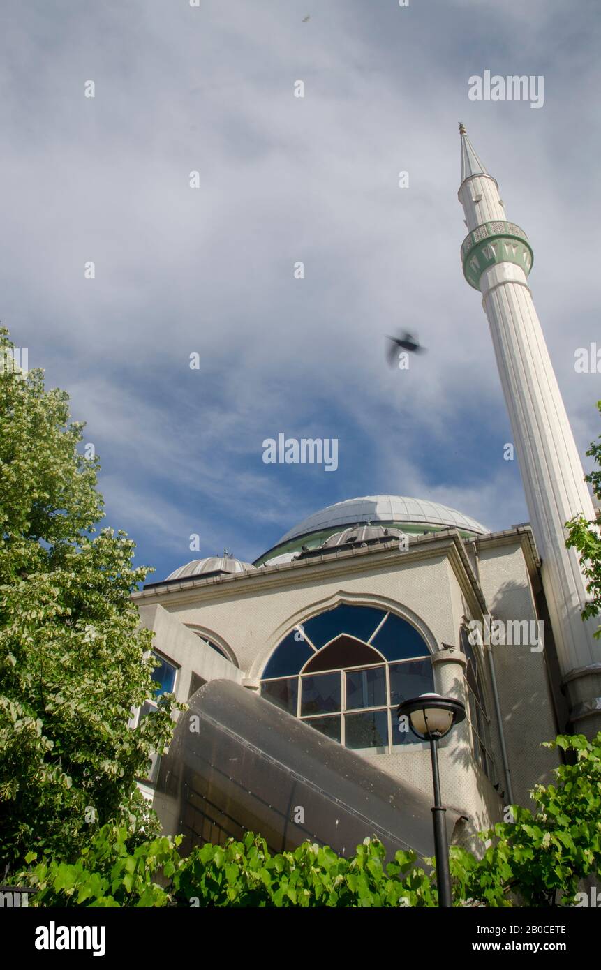 Mosque and Tree Stock Photo - Alamy