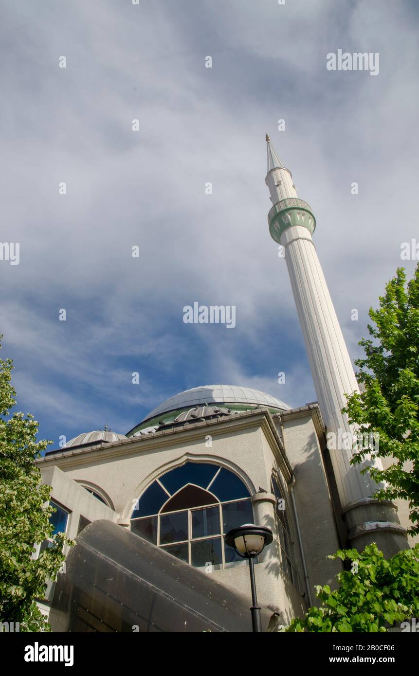 Mosque and Tree Stock Photo - Alamy