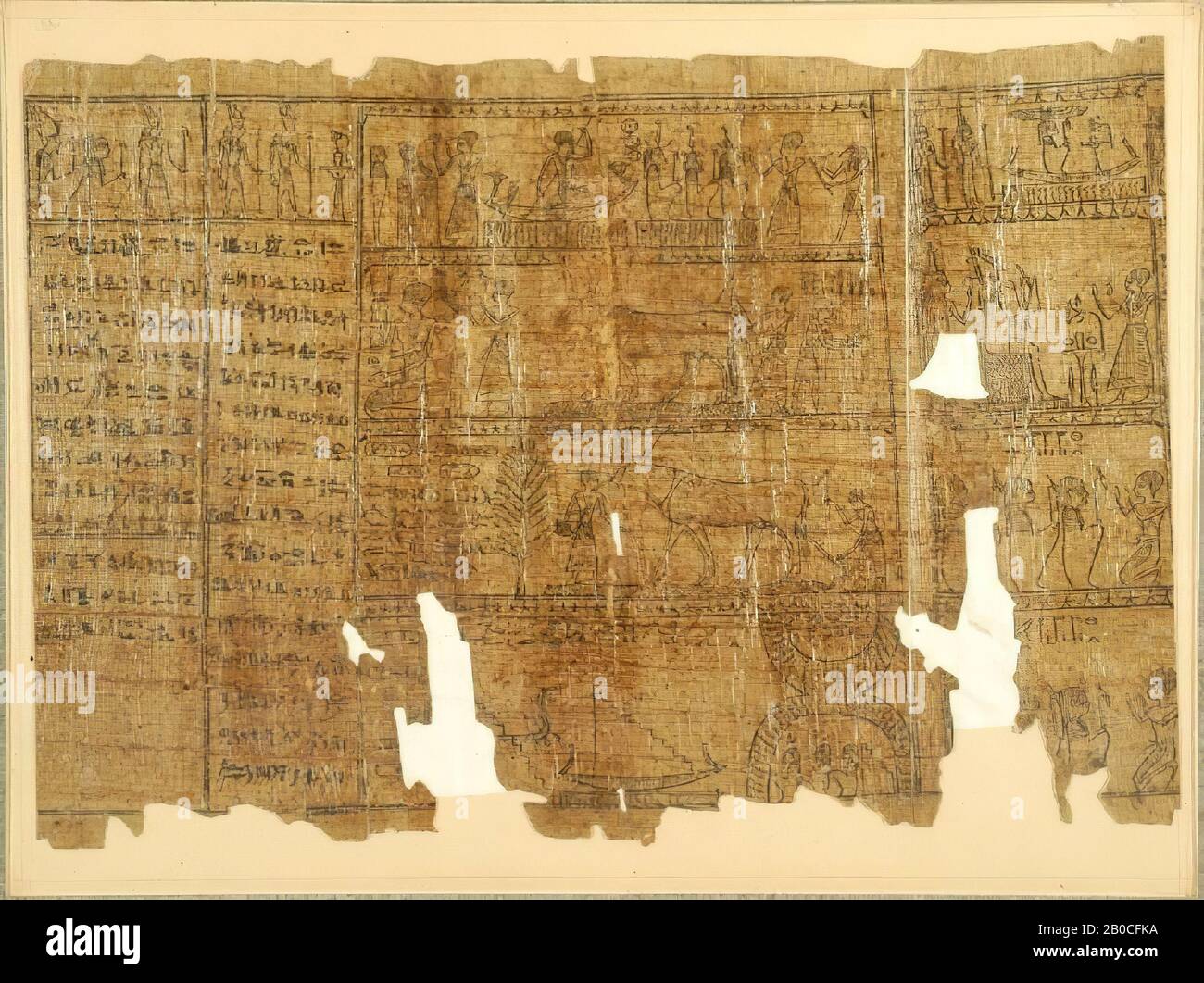 Egypt, handwriting, hieratic, papyrus, 32 x 46 cm Stock Photo - Alamy