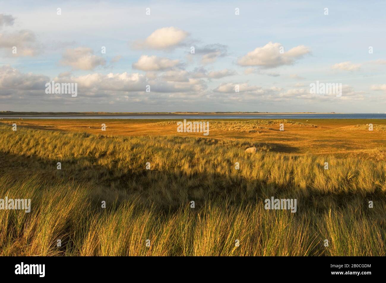 List ellenbogen hi-res stock photography and images - Alamy