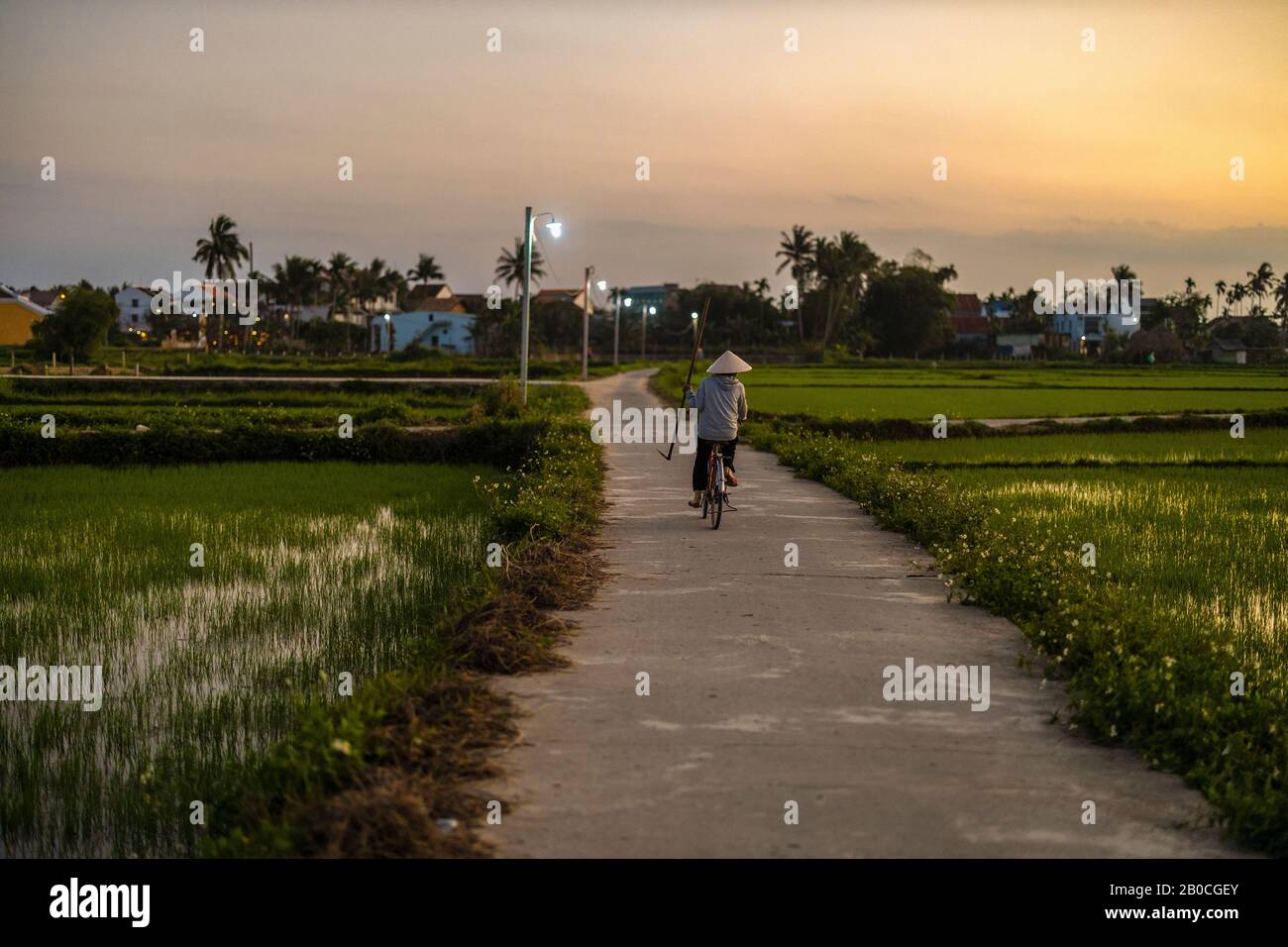 January 11, 2020, Near Hoi An, Vietnam.Agricultural worker works the ...