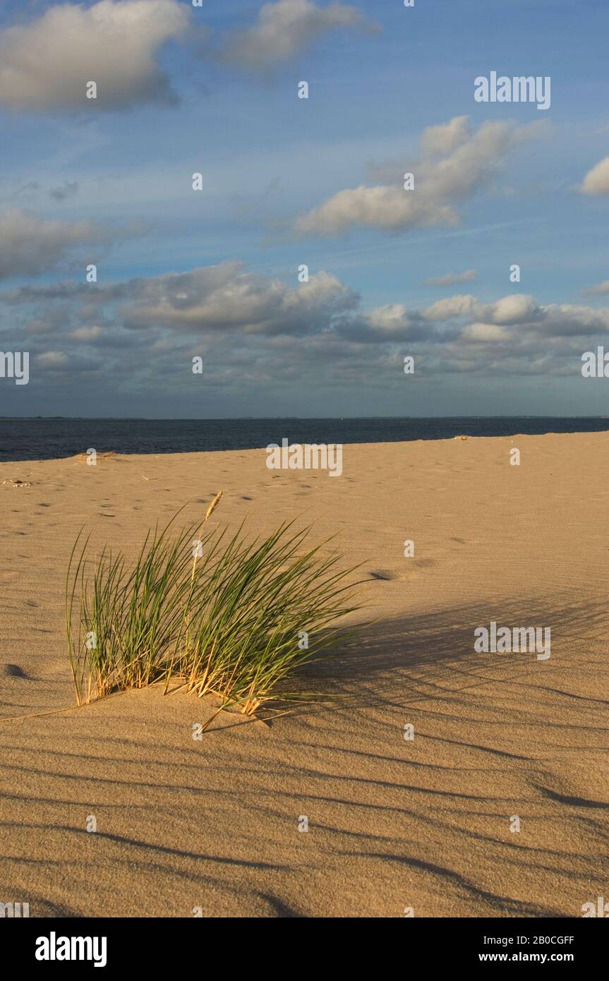 GERMANY, SCHLESWIG HOLSTEIN, NORTH SEA, NORTH FRISIAN ISLANDS, SYLT ...
