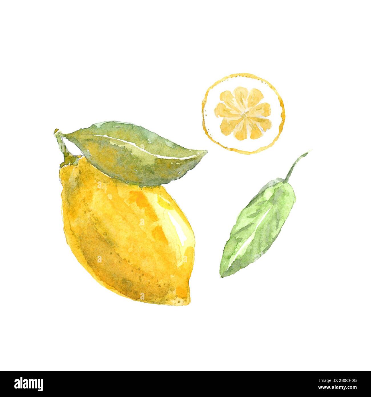 Watercolor hand-drawn lemon painting, design element Stock Photo - Alamy