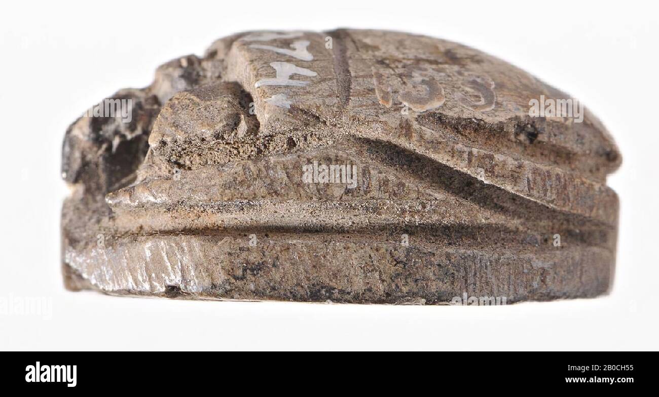 scarab, man, standing, 2 pieces, tree, seal, scarab, stone (gray), 1.8 ...