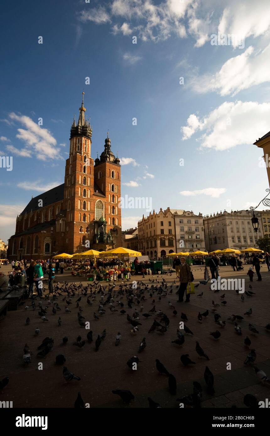 POLAND, KRAKOW, MARKET SQUARE (RYNEK GLOWNY), ST. MARY'S BASILICA IN ...