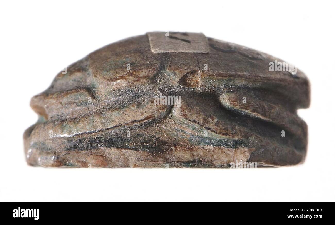 scarab, lotus flower, seal, scarab, faience, 1.3 cm, Egypt Stock Photo ...